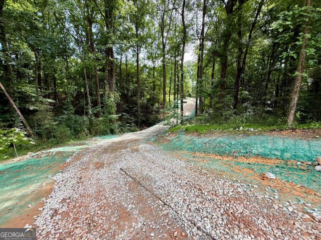3 Hwy 51s Homer, GA 30547 | MLS #10667