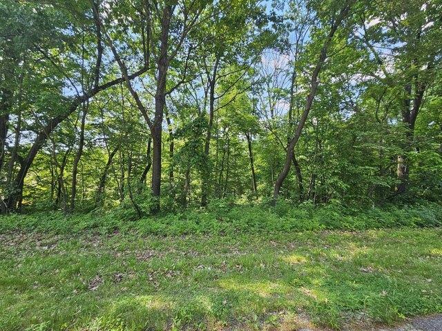 3 Haven Ln, Galena, IL 61036