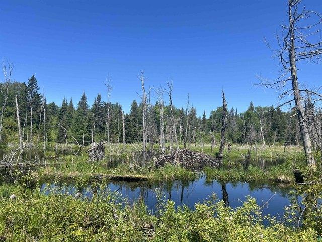 3 Heffelfinger Trl, Finland, MN 55614