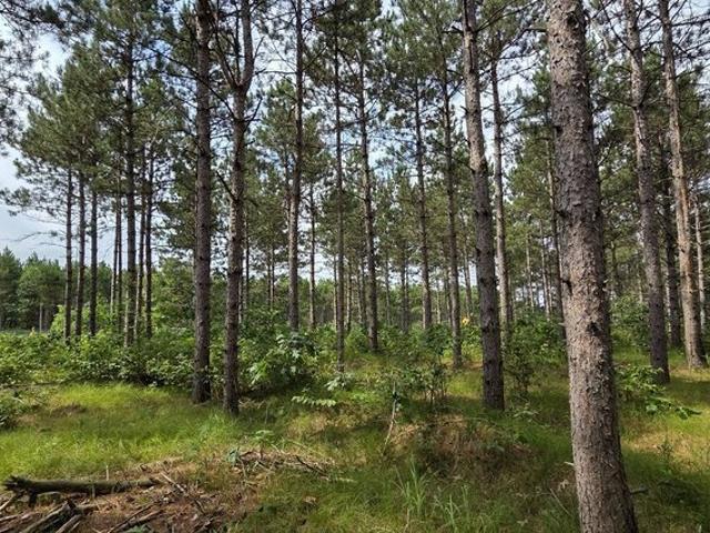 3 Hidden Trl, Rome, WI 54457