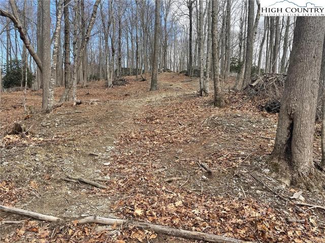 3 Jackson Ridge Road