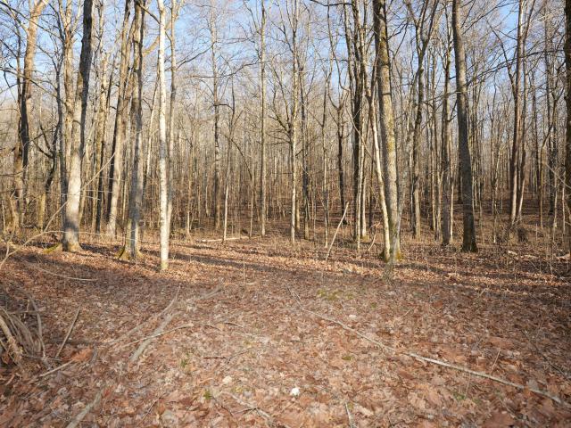 3 John Ross Hollow Rd