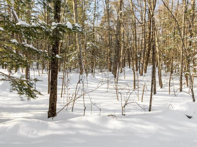 3 Kendall Hill Rd, Unit 5563, Mont Vernon, NH 03057 | Compass