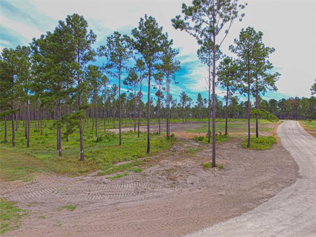 3 Lucky 13 Rd, Livingston, TX 77351 | MLS #53729