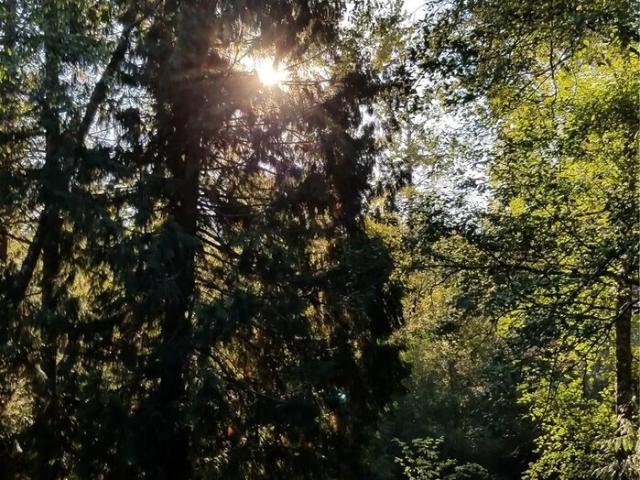3 Lakewood Park
