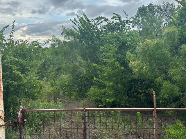 3 Lehman Rd, Kyle, TX 78640 | MLS #8728
