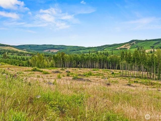 3 Lot 3 Parker Rd Lot C, Toutle, WA 98649