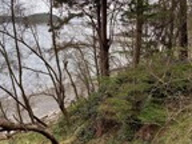 3 Lot Fauntleroy Point Dr