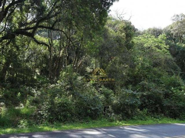 3 Lotes – sendo dois de 20.000 m² e um de 26.000 m² – a partir de R$ 1.500.000 – Ferraria – Campo La