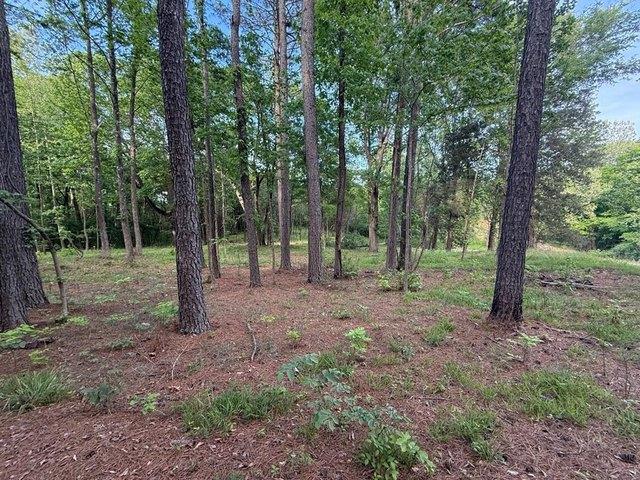 3 Lots Branch Loop, Big Sandy, TN 38221