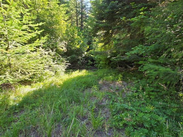 3 Lots Westside Rd
