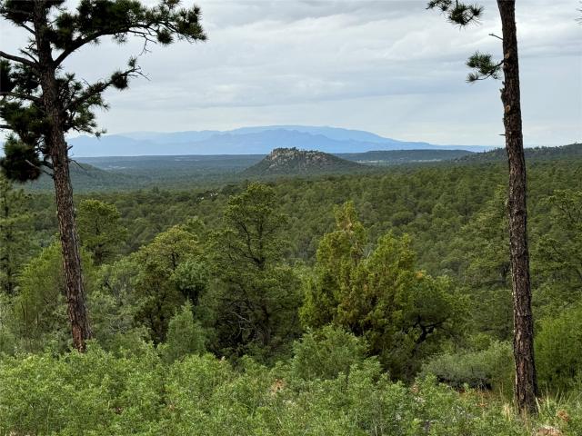 3 Padre Canyon