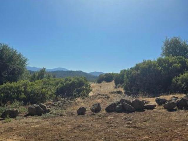 3 Parcels Pine Grove Avenue
