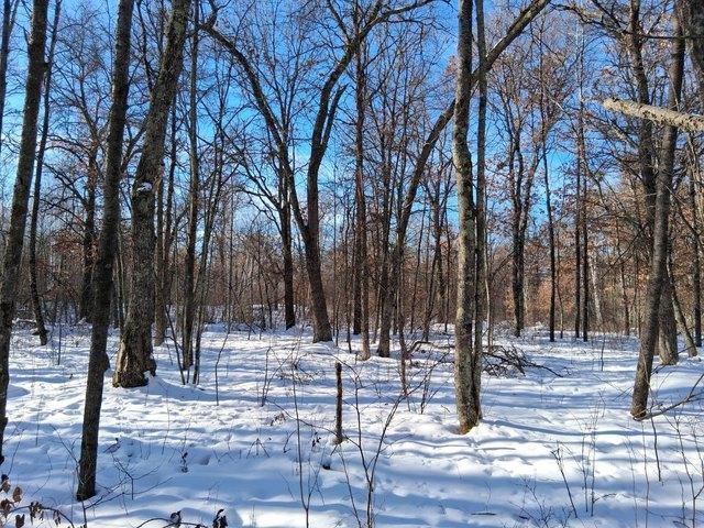 3 Pierce Homestead Rd, Trego, WI 54888
