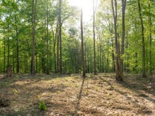 3 Pinewood Rd, Nunnelly, TN 37137
