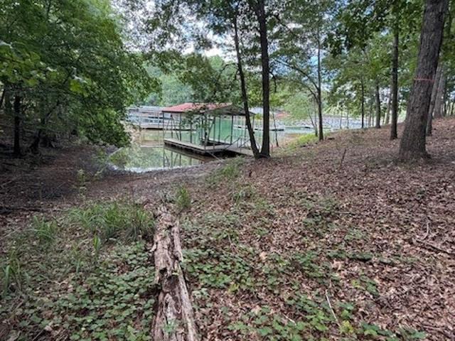 3 Reed Creek Point, Hartwell, GA 30643 | MLS #20292 | Compass