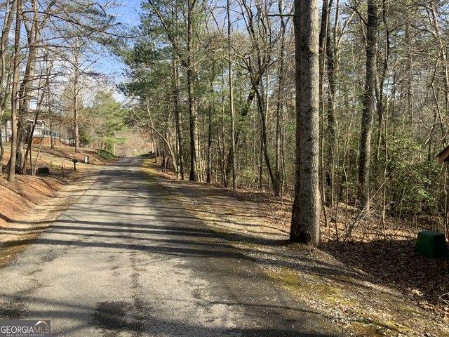 3 Rizzitello Ln, Blairsville, GA 30512