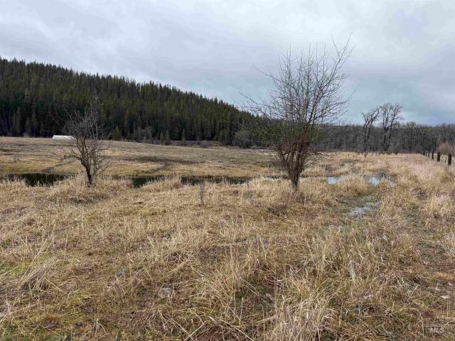 3 St Clarkia, ID 83812 | MLS #98977 | Compass