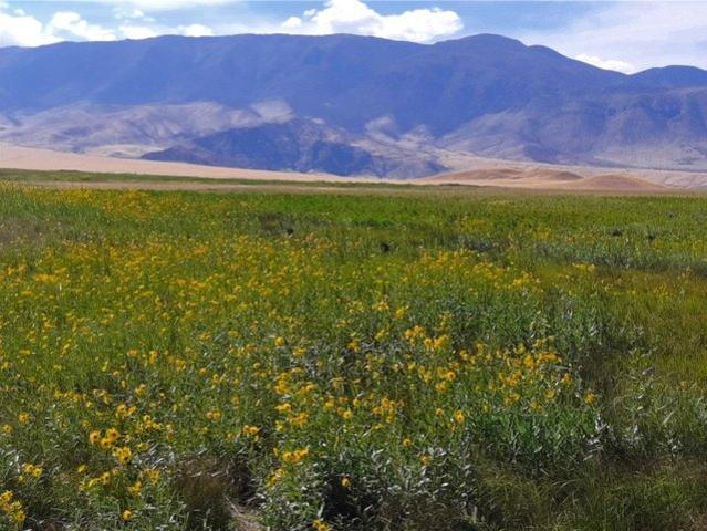 3 Stagecoach Spur W Lot 935 3, Belfry, MT 59008
