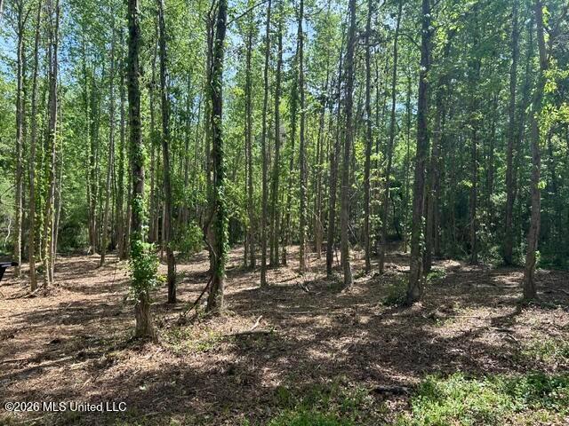 3 Stovall Ln, Summit, MS 39666 | MLS #4145 | Compass