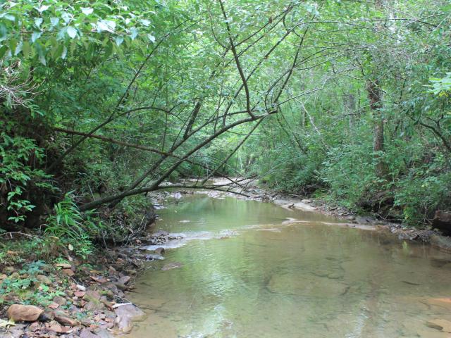 3 Straight Fork Road