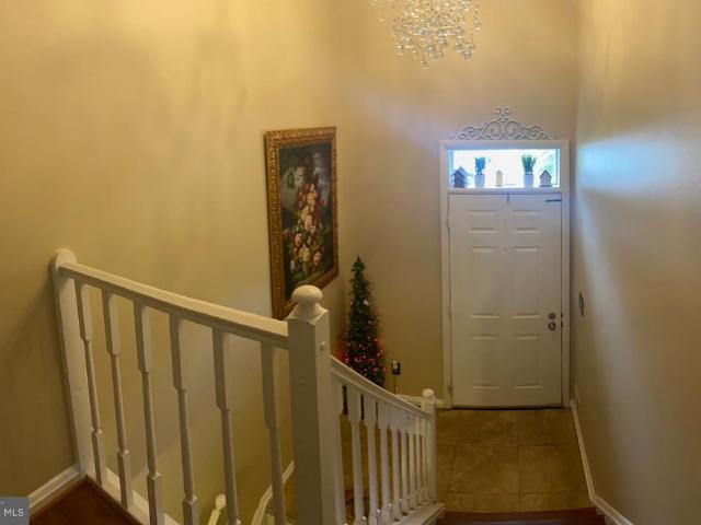 3 Sugar Tree Place
