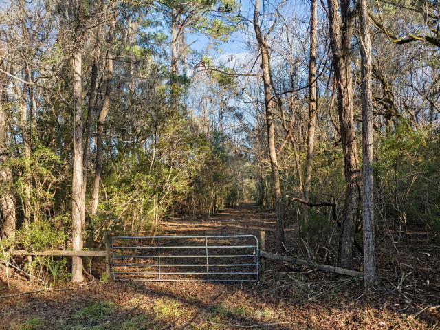 3 Summit Plantation Rd, Meggett, SC 29449 | MLS #26002