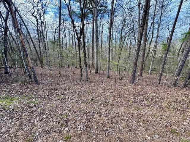 3 Saldana Way, Hot Springs Village, AR 71909