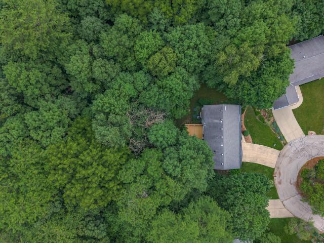 3 Shagbark Court