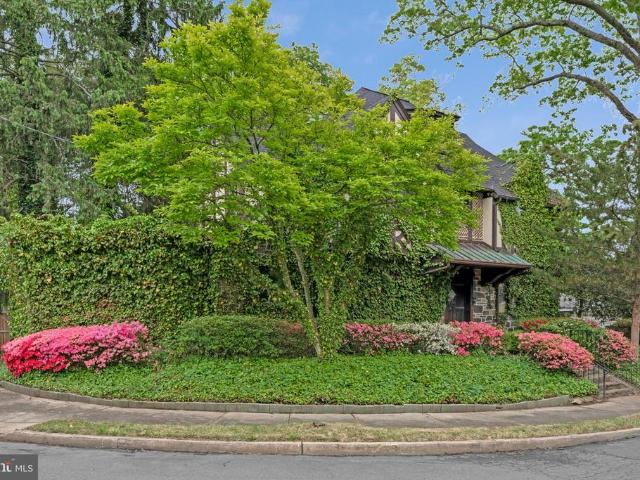 3 Shelbourne Avenue