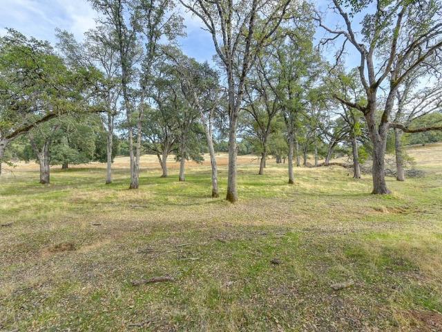 3 Shinn Ranch Rd, El Dorado, CA 95623 | MLS #225032