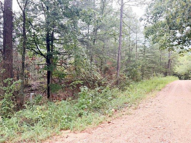 3 Spring Creek Rd, Calico Rock, AR 72519