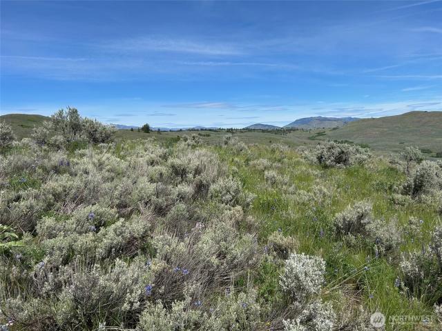 3 TBD Ellemeham Mountain Road