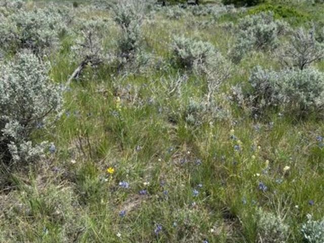 3 Tbd Ellemeham Mountain Rd, Oroville, WA 98844
