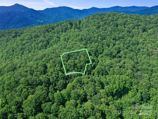 3 tbd Lotties Creek Rd, Unit LOTS 37 42, Burnsville, NC 28714 | MLS #4270 | Compass