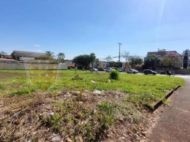 3 Terrenos em Avenida Comercial, 913,50 m², Residencial Flórida