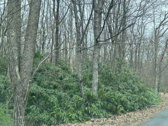 3 Tioga Dr, Kunkletown, PA 18058 | MLS #PM 131589