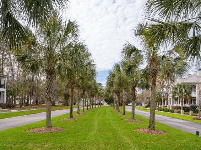 3 Tomlow Trce, Beaufort, SC 29906 | MLS #181704
