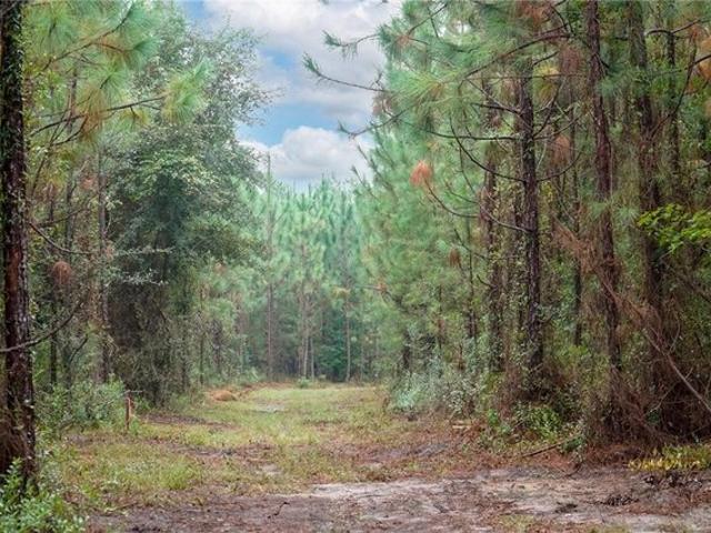 3 Tract Old Saddle Way Rd Lot TRACT3, Townsend, GA 31331