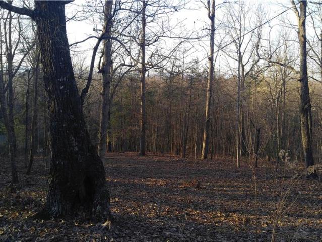 3 Trout Farm Rd, Talking Rock, GA 30175 | MLS #5976