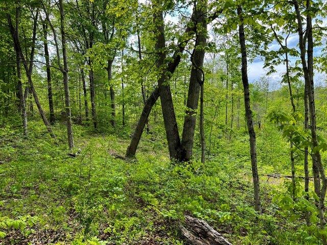 3 # Us52 # Laurel, IN 47024
