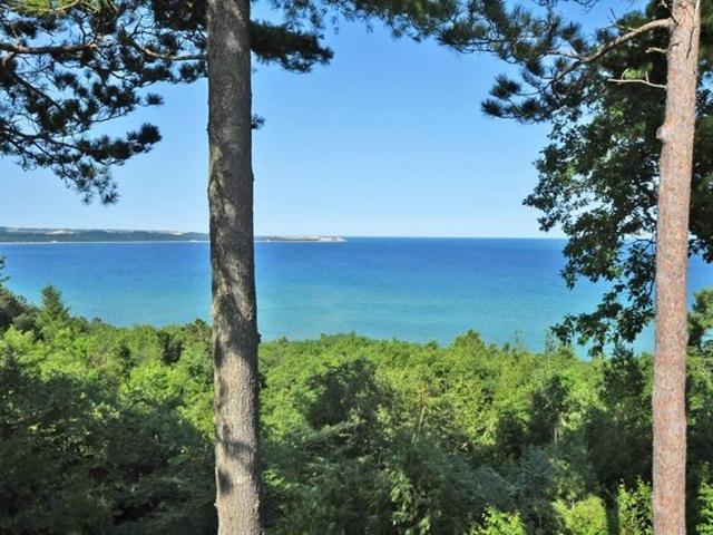 3 Vantage Pointe, Glen Arbor, MI 49636
