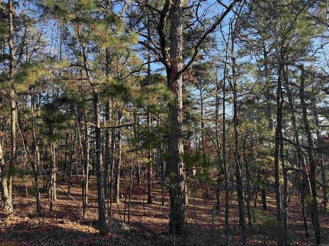 3 Vecilla Ln, Hot Springs Village, AR 71909