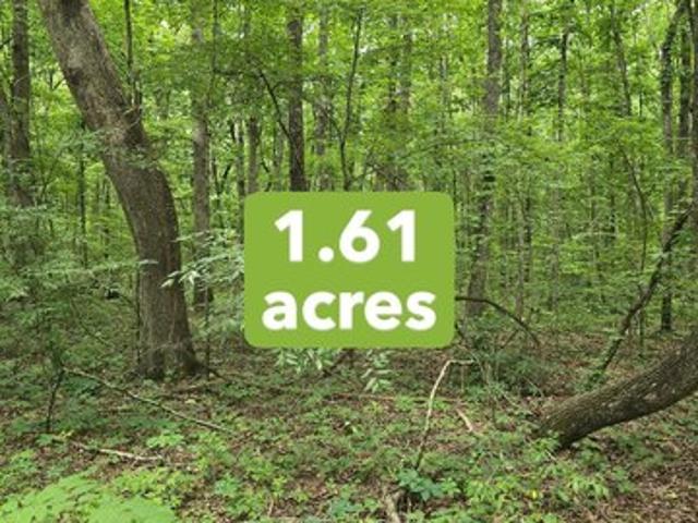 3 W Wind Way, Crossville, TN 38572