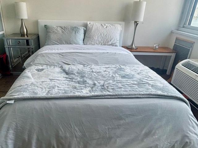 3 WEEK Furnished Room Rental in Battery Park City