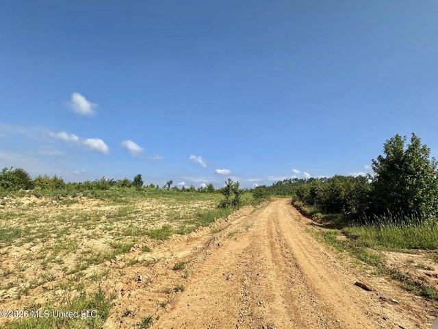 3 Will Womack, Mantee, MS 39751