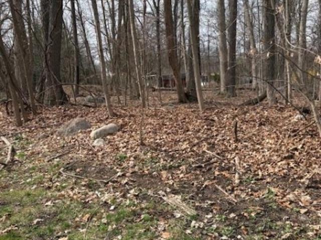 3 Wood Dale Court