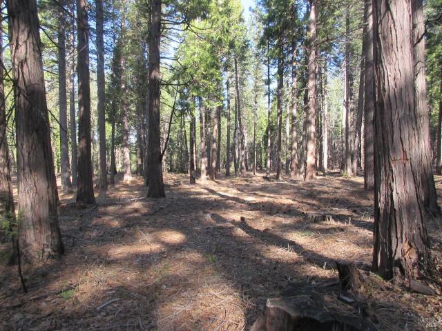 3 Woodridge Dr, Shingletown, CA 96088 | MLS #326008