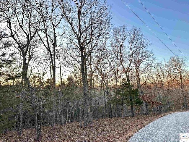 3.04 Acres Natalie Rd, Warsaw, MO 65355