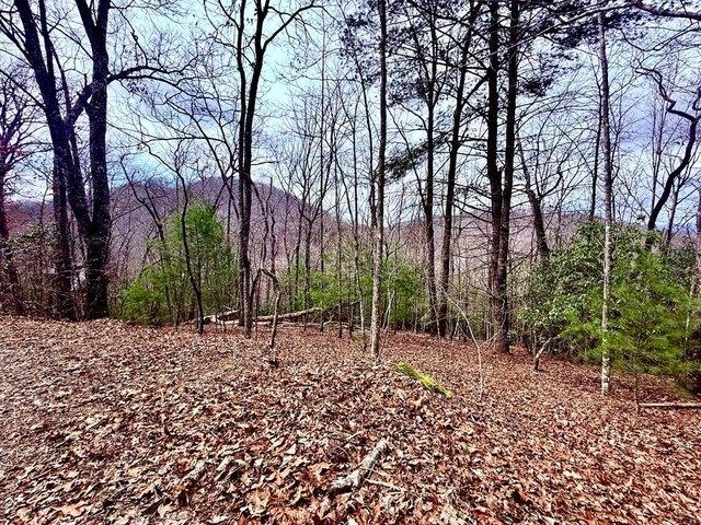 3.06 Ac Ridgeline Dr, Brasstown, NC 29802
